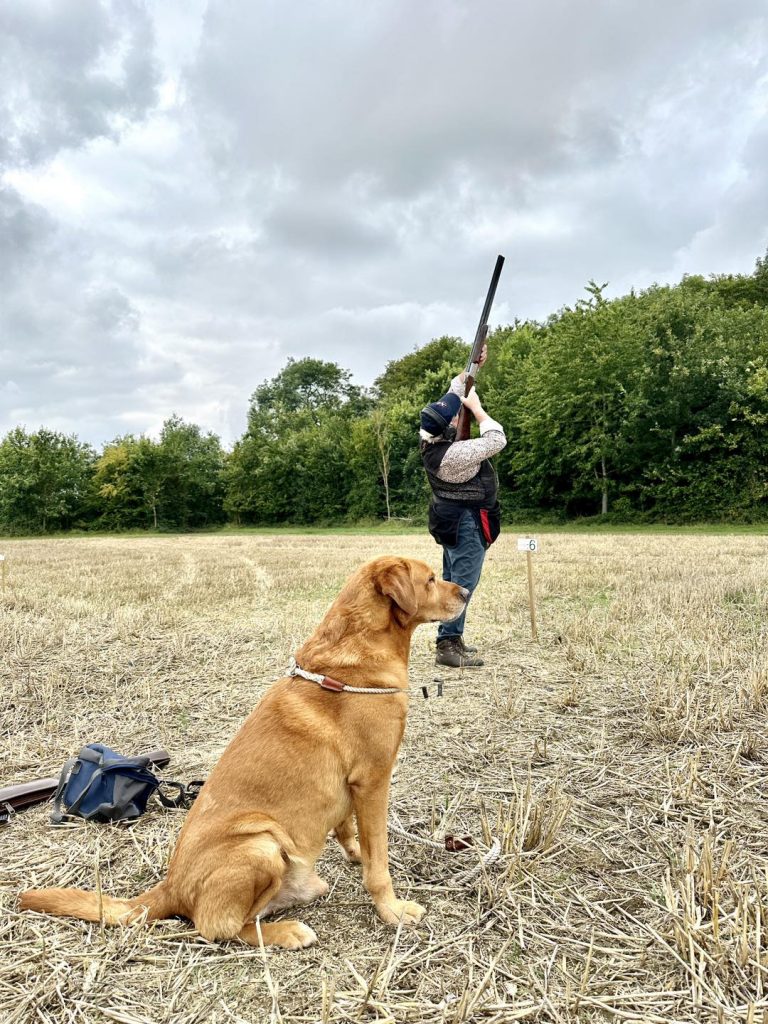 Individual Shooting Days - Simulated Game Shooting
